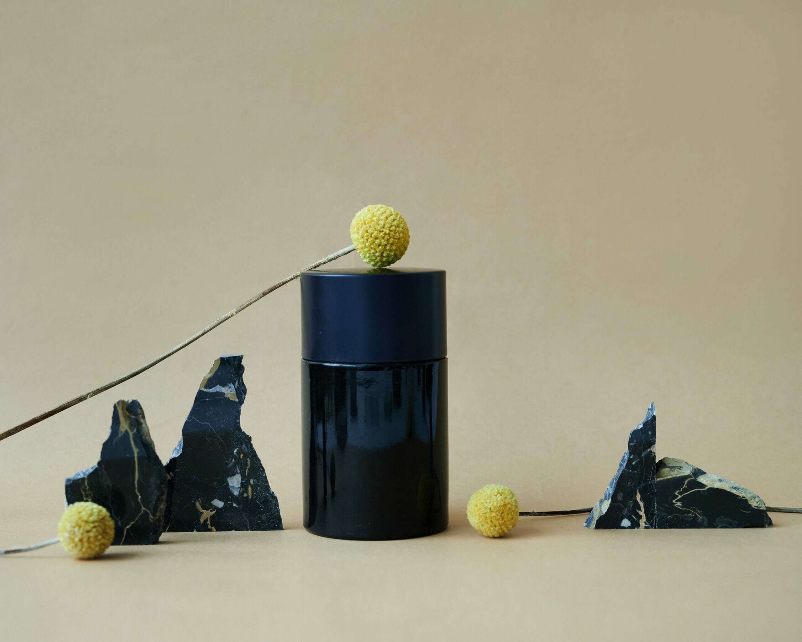 Can You Bring Rocks On A Plane? Find Out Here!